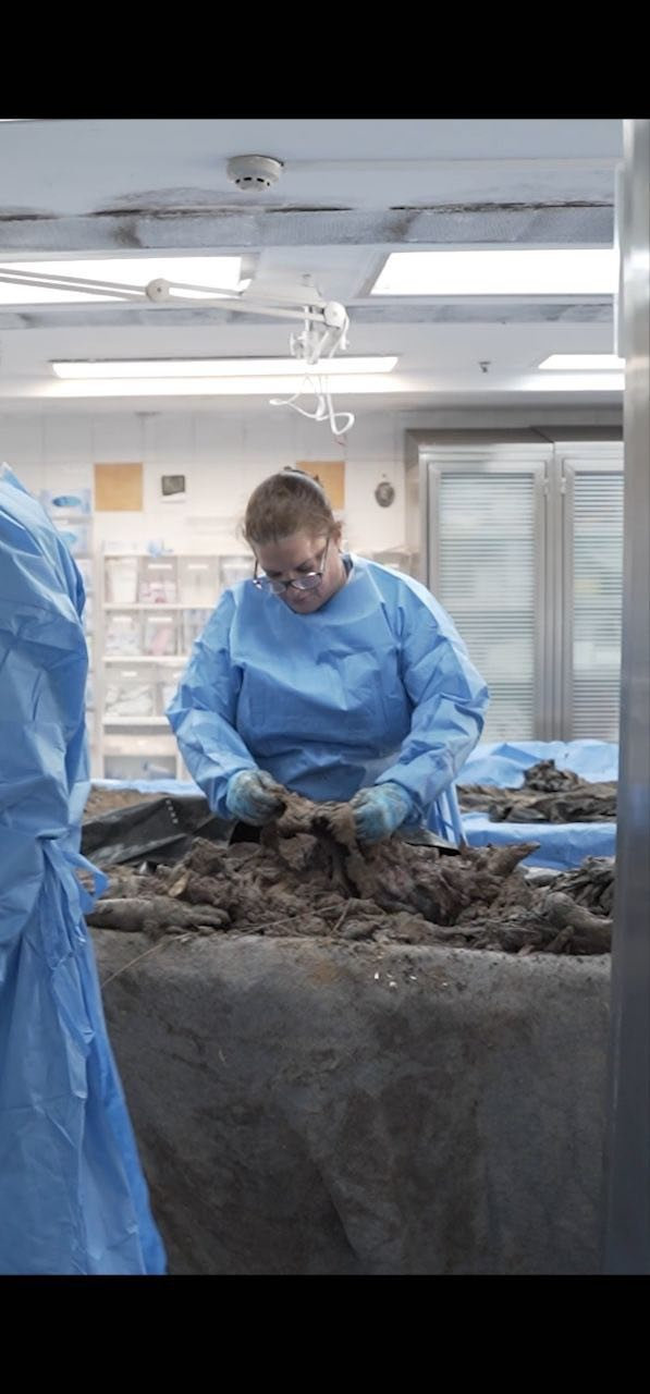 Forensic scientist trying to identify remains of a dead Israeli | Hamas ... Forensic scientist trying to identify remains of a dead Israeli | Hamas ...